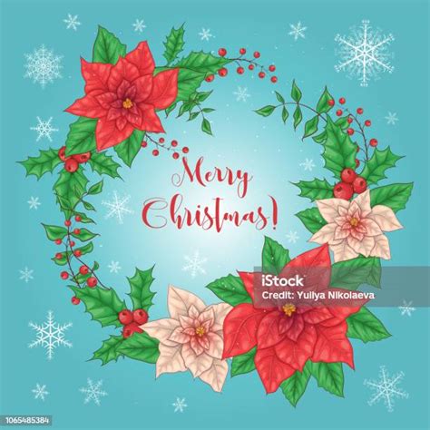 크리스마스 카드 붉은 꽃 포 인 세 티아 전나무 가지 홀리의 화 환으로 배너 나뭇잎과 열매 메리 크리스마스와 새 해 복 많이 받으세요 화 환입니다 0명에 대한 스톡 벡터