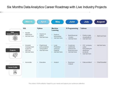 Six Months Data Analytics Career Roadmap With Live Industry Projects Demonstration