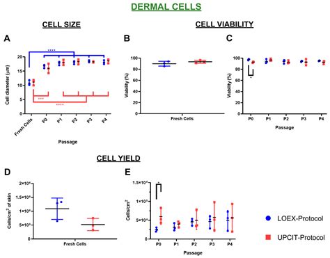 Comparison Of Two Human Skin Cell Isolation Protocols And Their