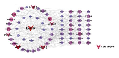 the ppi network constructed by the string database and cytoscape 3 7 2