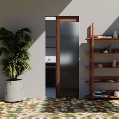 Single Glass Pocket Doors
