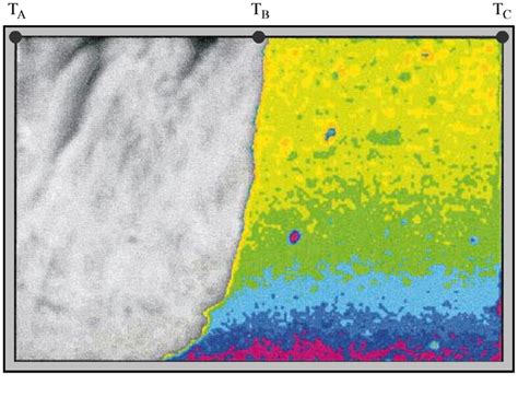 Figure 1 From Interaction Between Single Grain Solidification And Macrosegregation Application