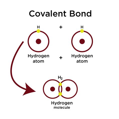 Polar Covalent Bond Definition And Examples In Chemistry D2b