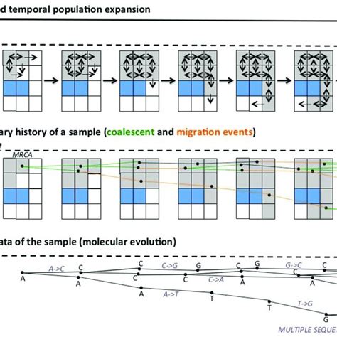 illustrative example of a spatially explicit simulation of a range