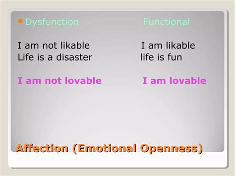 Firo B Tool Introduction Ppt