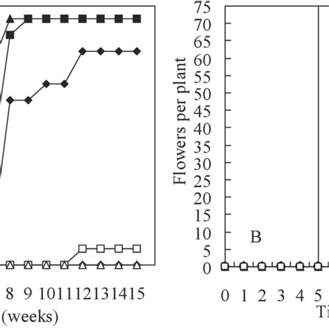 Effects Of Photoperiod And Temperature On The Time Course Of Flowering Download Scientific
