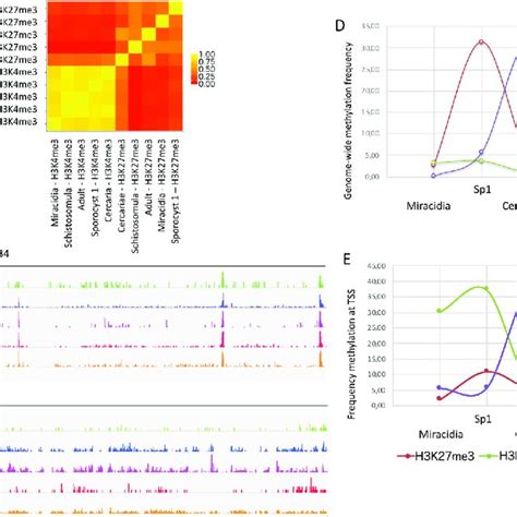 Sample Clustering And Genome Wide Frequency Of Combinatorial States