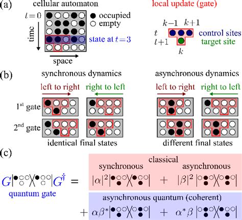 Figure 1 From Asynchronism And Nonequilibrium Phase Transitions In 1 1 Dimensional Quantum