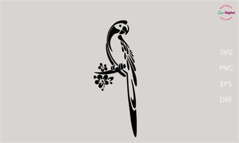 Parrot Svg Parrot Vector Graphic By Eyes Digital · Creative Fabrica