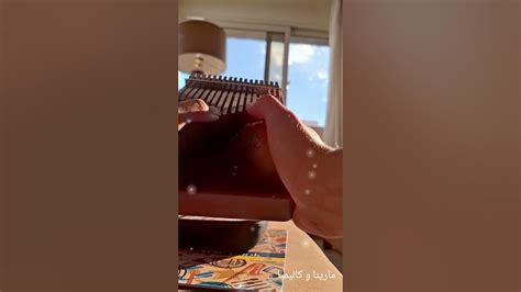 از لحظه ی تولد کالیمبا 🫰🫶💓🐾 کالیمبا نتخوانی هنر هنرمند کیوت شروع