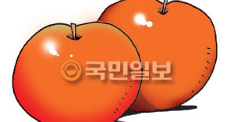 [겨자씨] 나실인의 삶