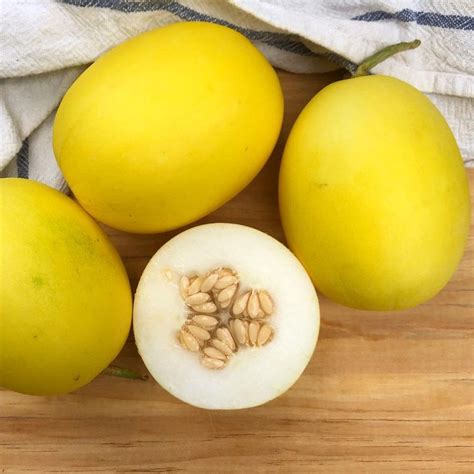 20 Chito Mango Melon Vine Peach Seeds