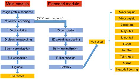 Github Fangzcbiodeepvp Identification And Classification Of Phage Virion Proteins Using Deep