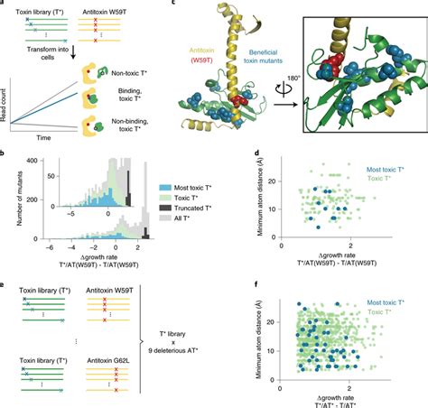 Beneficial Interaction Restoring Mutations Can Be Far From The