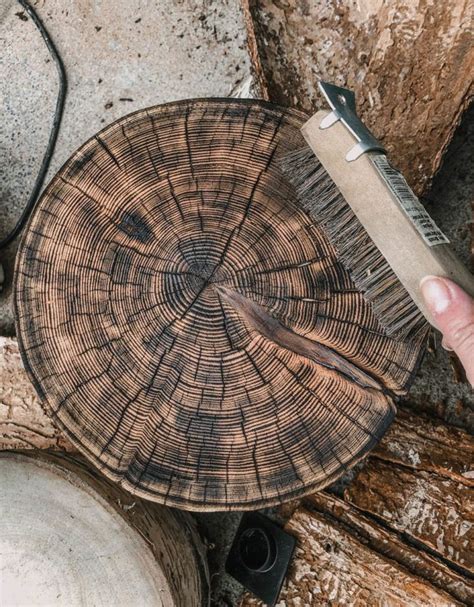 DIY Tree Ring Art Tree Ring Art Diy Tree Rings Diy Tree