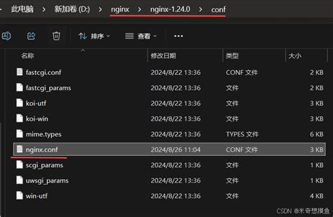 Windows下nginx花生壳配置（多站点使用）nginxwindows默认访问indexhtml Csdn博客