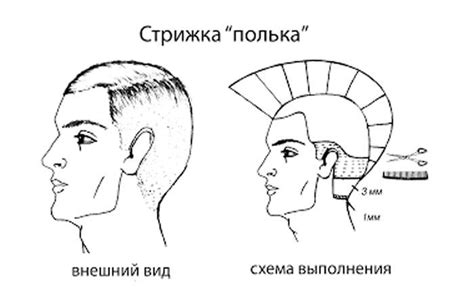 Перукар Березне Виконання класичної чоловічої стрижки «Полька
