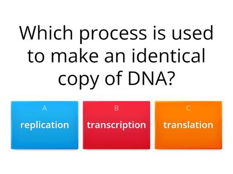Warm Up Protein Synthesis Analogy Review Replication Transcription