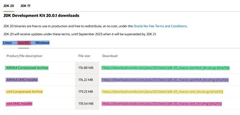 Начало работы с Java Установка в Windows Linux Macos Ravesli