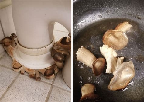 50 Times People Disrespected Food In The Worst Ways And Were Shamed On