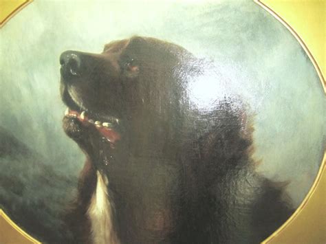 Oil On Canvas Dog Painting Of A St Bernard By George Earl For Sale At