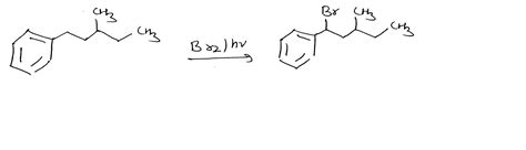 [Solved] Predict the major product of the following radical bromination. ... | Course Hero