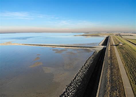 Scharrelen Rondom Het Dijkhuisje Bij Wissenkerke Nationaal Park
