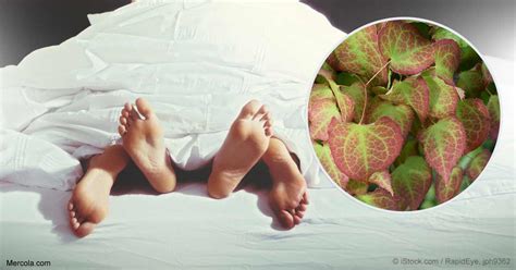 Podr A Esta Hierba Aumentar El Placer En Su Recamara