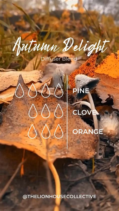 Fall Diffuser Blends Autumn Delight Artofit