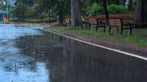 한적한 거리에 잔잔한 비 수면을 위한 빗소리asmr 불면증 빠르게 극복 Youtube