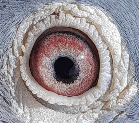 Lot 8 22 Za Kwum 320 C Ganus Triple J Lofts Vandenabeele Van De Pasch Gavin Rous