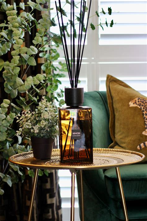Sences Extra Large Diffuser Amber Alang Alang Leya Buster Interiors