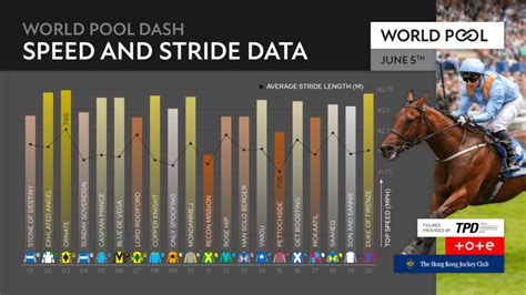 Total Performance Data Tote