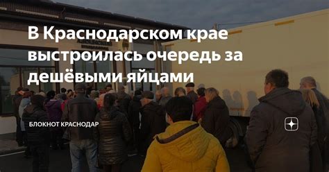 В Краснодарском крае выстроилась очередь за дешёвыми яйцами Блокнот Краснодар Дзен