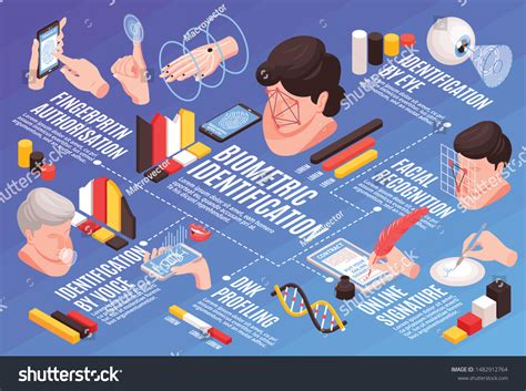 Isometric Biometric Identification Horizontal Flowchart Composition Stock Vector Royalty Free