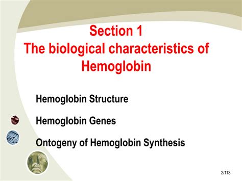 Solution Hemoglobinopathy What Is Hemoglobin Sructurewh What Is Hemoglobin Gene Ontogeny Of