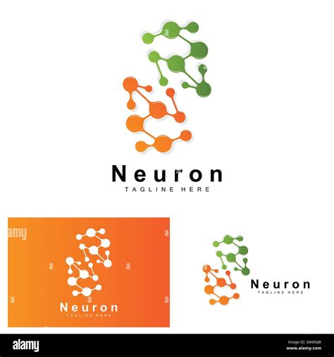 Neuron Logo Design Vector Nerve Cell Illustration Molecular Dna Health Brand Stock Vector Image