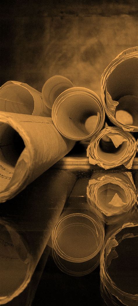 Tendering Ans Australian Niugini Services