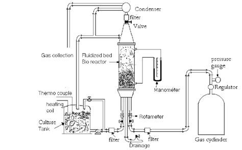 Experimental Set Up Of Fluidized Bed Bioreactor Download Scientific