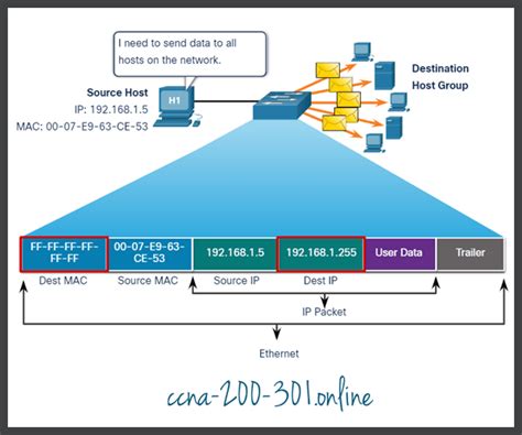 Ethernet Mac Address Ccna 200 301