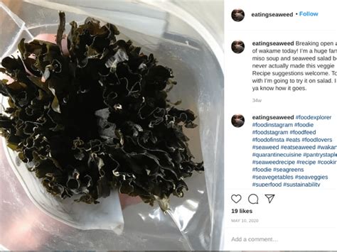 Social Media Marketing Campaigns To Drive Conversions And Build Your Audience Upwork