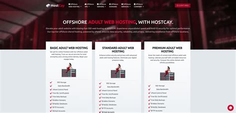 Adult Content Web Hosting 99 9 Uptime 24 7 Support