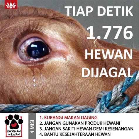 3 Ehipassiko Foundation