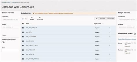 Get Started With Oci Goldengate Data Transforms 35 Create A Data Load With Data Replication