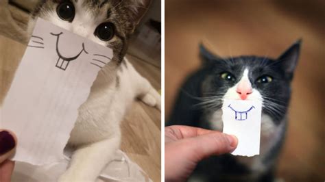 20 Симпатични фотографии од мачки со цртани усти Навалица