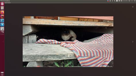 Bug 363beta Media Viewer Flickers Between Displays · Issue 24335