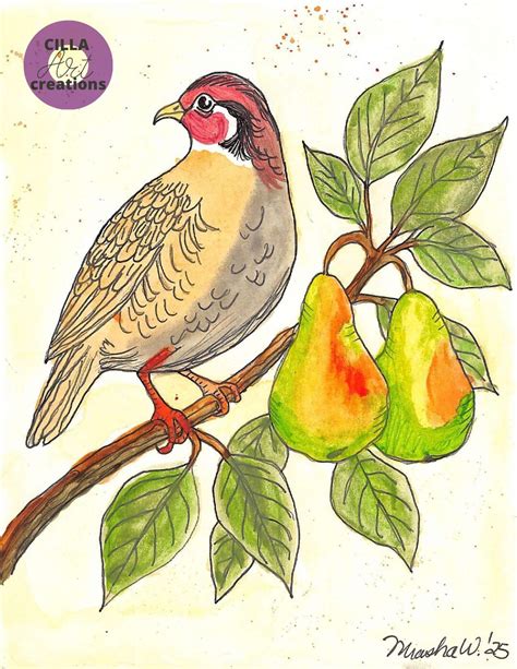 Partridge Pear Tree Art Print Watercolor Bird Wall Art Etsy