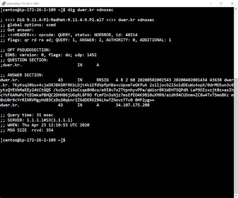 Dig 명령어 간단 사용법