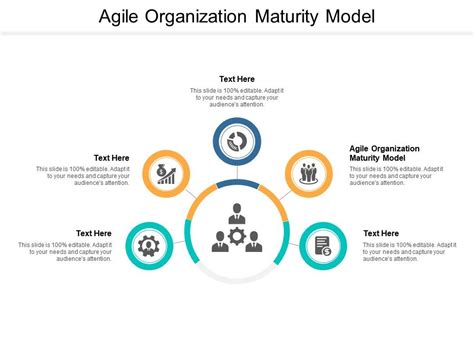 Agile Organization Maturity Model Ppt Powerpoint Presentation Visuals